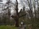 Wandelen in de Achterhoek bij Landgoed Dorth