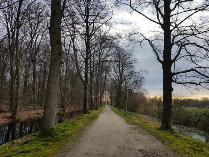 Wandelen in de Achterhoek bij Landgoed Dorth