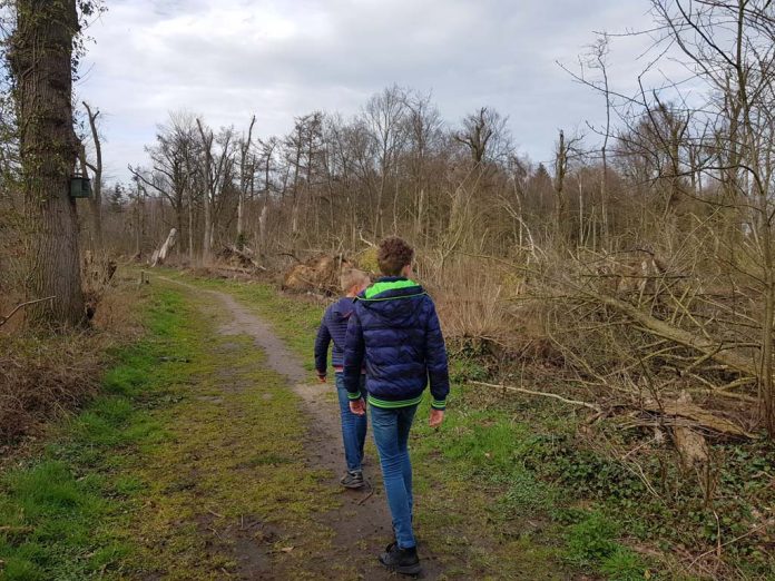 Wandelen in de Achterhoek bij Landgoed Dorth