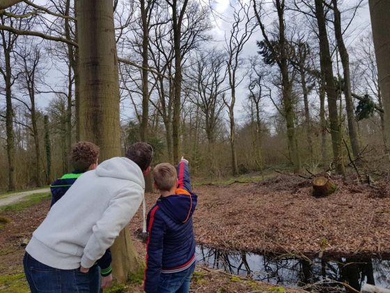 Wandelen in de Achterhoek bij Landgoed Dorth